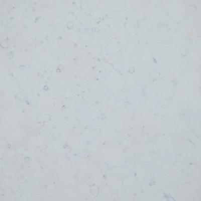 China Artificial White Quartz Countertop Slabs High Flexural Strength Easy To Clean for sale