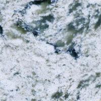 China P761 Polished Honed Granite Bathroom Vanity Tops / Big Quartz Countertop Slab for sale