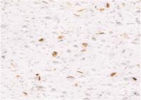 China 30mm Durable Home Quartz Kitchen Countertops , Engineered Quartz Countertops for sale