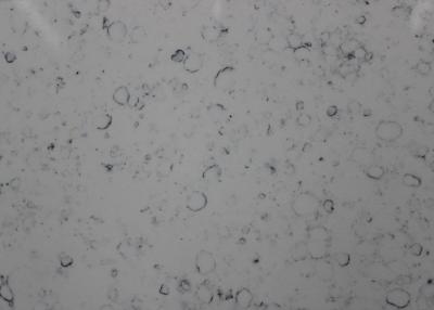 China Artificial Quartz Stone Countertops Polished Surface White Color NSF CE Listed for sale