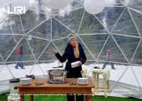 China Luxury Event Geodesic Dome Tents Transparent PVC Cover Steel Frame for sale