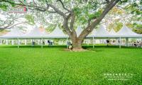 China Hot Sale 10x10 PVC Event Marquee Pagoda Uganda Tents Price for sale