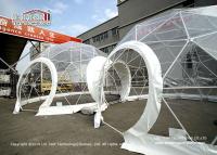 China Special Outdoor Clear Wedding Turtle Dome Geodesic Tent Home for Events for sale