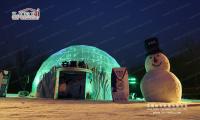 China Outdoor Geodesic Dome Event Tent for Outdoor Parties and Weddings for sale