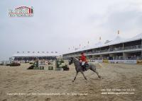 China Clear Span Large Aluminum Tent For Equestrian Horse Arena for sale