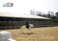 China Indoor Horse Aluminum Arena Sport Event Tents Customized Size for sale