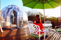 China Wild Life Accommodation Dining Dome House Tent for sale