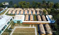 China Outdoor Fantasy  Shell Shape Luxury Glamping Hotel Tent for sale