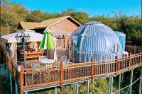 China 2m Dia Transparent Dome Bubble Tent Luxury Glamping House for sale