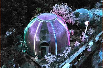 China 2m Dia Transparent Dome Bubble Tent Luxury Glamping House for sale