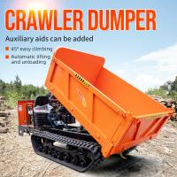 China Weather Proof Off Road Track Dump Truck Compact Dumpers 3000kg for sale