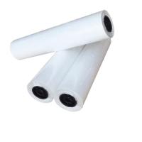 China A3 60cm PET DTF Film Roll A3 A4 A2 33cm With DTF Printer for sale