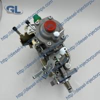 China Diesel Fuel Injection Pump VE4/11f1800rnd517 196000-5172 167002S622 For Nissan for sale