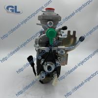 China Diesel Fuel Injection Pump VE4/11f1800rnd517 196000-5172 167002S622 For Nissan for sale
