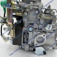 China Diesel Fuel Injection Pump VE4/11f1800rnd517 196000-5172 167002S622 For Nissan for sale