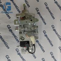 China 22100-1C190 New Diesel Fuel Pump 22100-1C190 VE6/10F1900RND264 196000-2640 for LAND CRUISER 1HZ Engine for sale