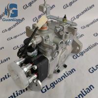 China 22100-1C190 New Diesel Fuel Pump 22100-1C190 VE6/10F1900RND264 196000-2640 for LAND CRUISER 1HZ Engine for sale