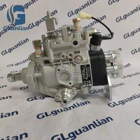 China 22100-1C190 New Diesel Fuel Pump 22100-1C190 VE6/10F1900RND264 196000-2640 for LAND CRUISER 1HZ Engine for sale