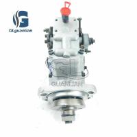 China New Fuel Injection Pump AR74343 DM4629N3147 for John Dee-re 6466D 4040 4240 4440 for sale