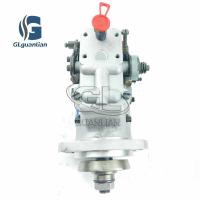 China New Fuel Injection Pump AR74343 DM4629N3147 for John Dee-re 6466D 4040 4240 4440 for sale