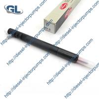 China Delphi Diesel Common Rail Injector EJBR04401D R04401D For SSANGYONG A6650170221 for sale