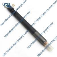 China Delphi Diesel Common Rail Fuel Injectors 28288104  278901160106  278 901 160 106 For TATA SAFARI XENON ARIA for sale