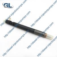 China Delphi Diesel Common Rail Fuel Injectors 28288104  278901160106  278 901 160 106 For TATA SAFARI XENON ARIA for sale