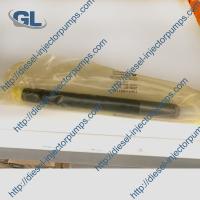 China Delphi Diesel Fuel Injector EJBR04901D 28280600 For TATA 278901160101 for sale