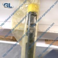 China Delphi Diesel Fuel Injector EJBR04901D 28280600 For TATA 278901160101 for sale
