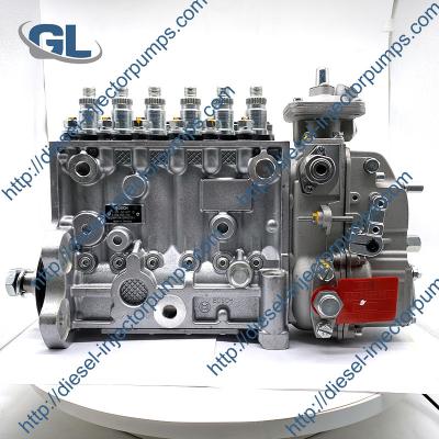 China Fuel Injection Pump 6743-71-1131 4063360 4063536 0402066729 For Komatsu PC300-7 Excavator SAA6D114E for sale