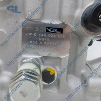 China Original CB18 Diesel Fuel Injection Pump 0445025018 0 445 025 018 1111300-E06-B1 For Great Wall for sale