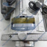China DP210 Delphi Fuel Injection Pump 9323A230G 9323A231G 9323A232G 9323A239G For DEUTZ TD2009L04 04115713 04118329 for sale