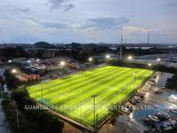 China ENO-D1 Ultimate Artificial Turf for Professional Soccer Durable Safe Low Maintenance for sale