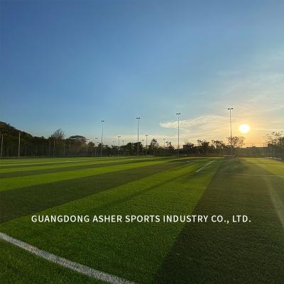 China ENO-D1 Ultimate Artificial Turf for Professional Soccer Durable Safe Low Maintenance for sale