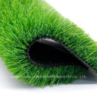 China Ornamental Indoor Natural Artificial Turf 30mm Pile Height Grass Carpet Type for sale