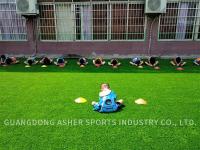 China Kids Friendly Synthetic Astro Turf Carpet Polyethylene Landscaping Artificial for sale