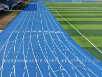 China Professional 13mm Hybrid Plastic Running Track Eco-Friendly PU and EPDM Granules Wear-Resistant Anti-Aging IAAF-Compliant for Schools for sale