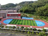 China Advanced Impact Absorption Rubber Track With 47BPN Slip Resistance for sale