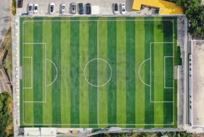 China Excellent Weather Resistance Artificial Grass 50mm Pile Height High Flexibility for sale