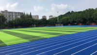 China Highly Resilient Tartan Running Track With High Resistance To Damage for sale