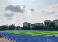 China Smooth Black Sandwich Running Track sustainable 10mm Thickness for sale