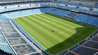 China PP Backing Synthetic Grass With Uniform Texture Long Lasting For Soccer Pitches for sale