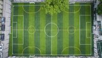 China PP Backing Synthetic Grass With Uniform Texture Long Lasting For Soccer Pitches for sale