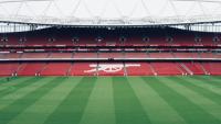 China Effective Drainage Stem Shape Artificial Football Pitch 50mm Pile Height PP Net SBR Backing for sale