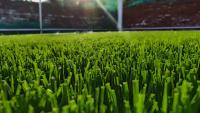 China Effective Drainage Stem Shape Artificial Football Pitch 50mm Pile Height PP Net SBR Backing for sale