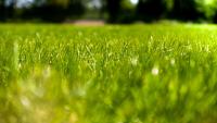 China Quartz Sand Infill Material Artificial Football Pitches 8-10 Years Life Span 50mm Pile Height for sale