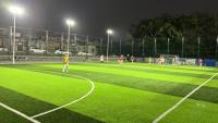 China 40-60mm Pile Height Artificial Turf For Stadium Soccer Pitched for sale