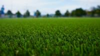 China 40-60mm Pile Height Artificial Grass In Diamond Shape For Soccer Pitch for sale