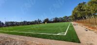 China Disease Resistant Football Pitch With Effective Drainage System for sale
