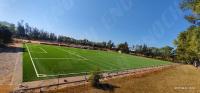 China Disease Resistant Football Pitch With Effective Drainage System for sale